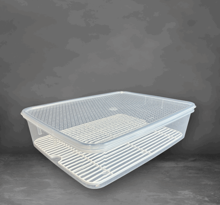 Maturing Container 4L (clear) - Cheeselinks Australia